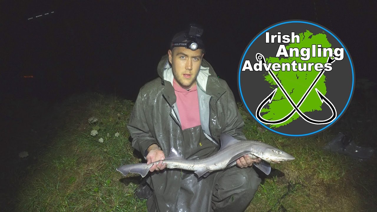 Rock Fishing for Smooth Hounds - YouTube