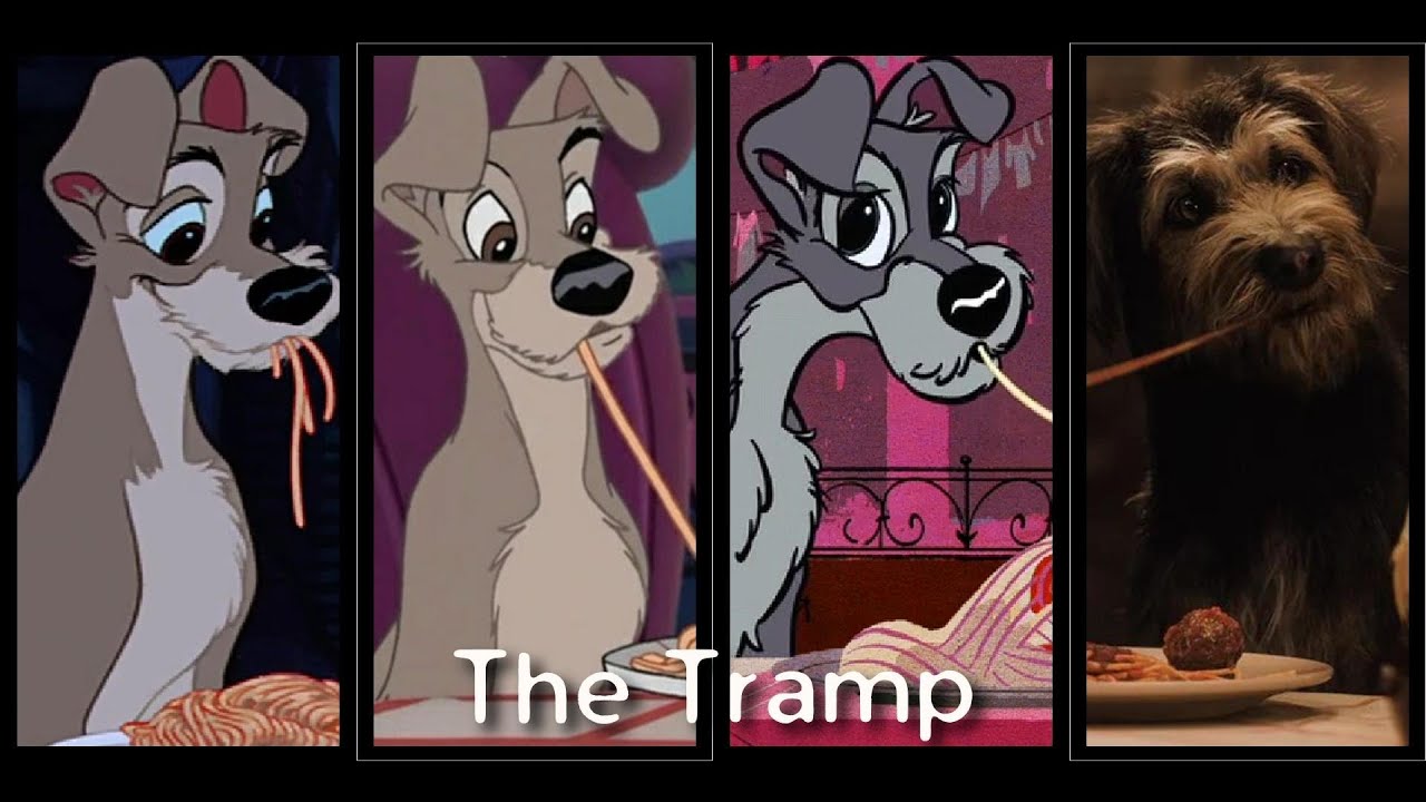 The Tramp Evolution (Lady and the Tramp) - YouTube
