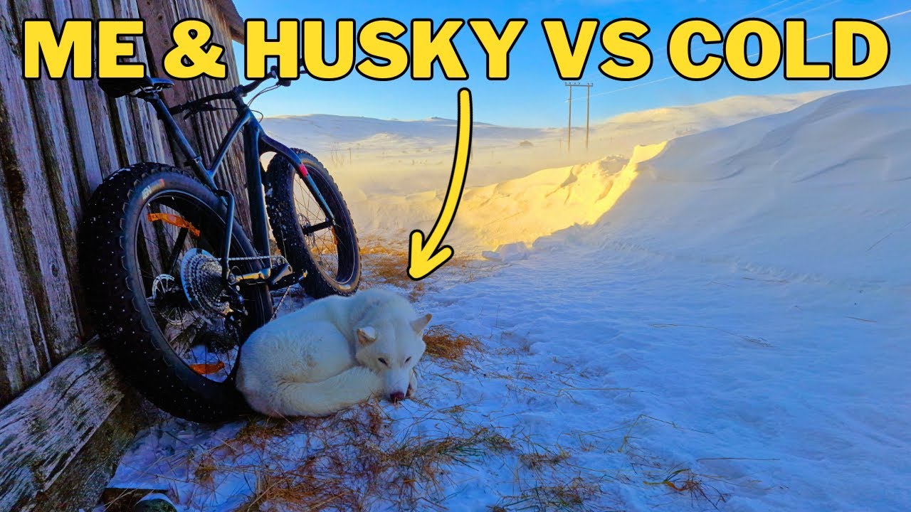 My Most Epic Mountain Bike Adventure of 2023 (Part 2 with Husky) - YouTube