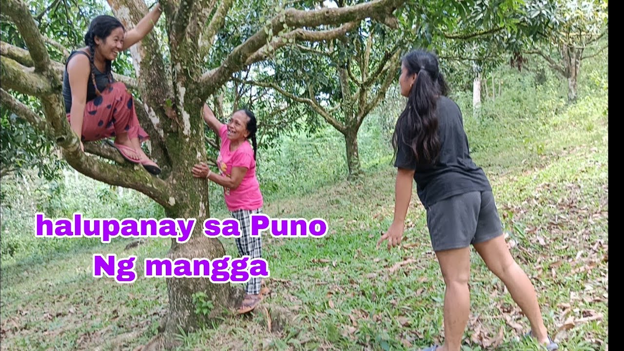 halupanay - YouTube