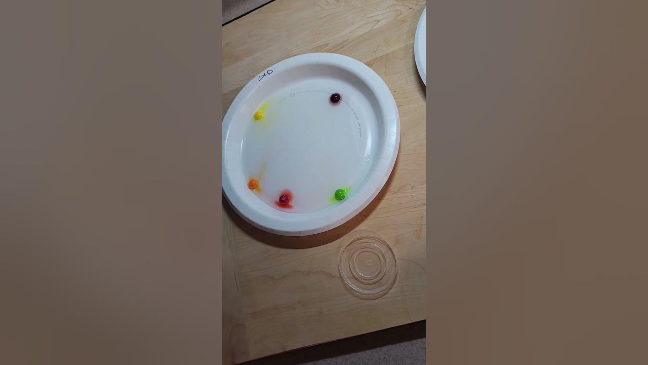 Candy Diffusion: Colorful Science Experiment for Kids - YouTube