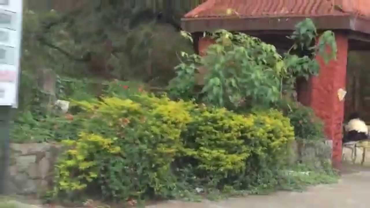 Waiting Area DEMON Jinn Sighting Caught on Tape! - YouTube