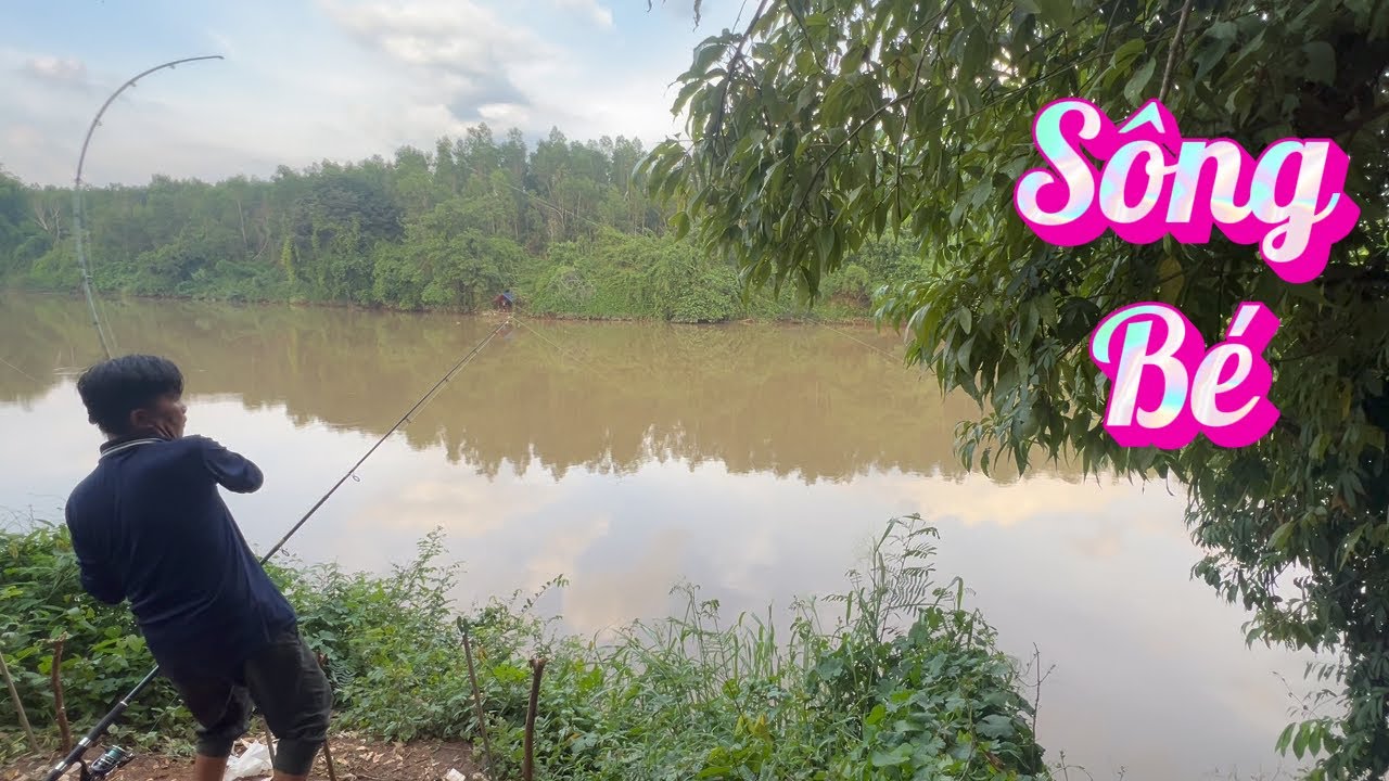 Câu Cá Sông Bé | Mùa Nước Đỏ (P13) River Be Fishing | Red Water Season ...