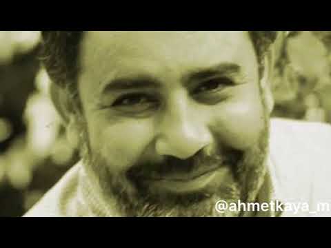 @Ahmet kaya ucun kuşlar ucun