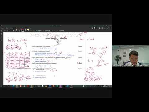 DISCUSSION PAST YEAR CHAPTER 4 GENETIC INHERITANCE PART 1 - YouTube