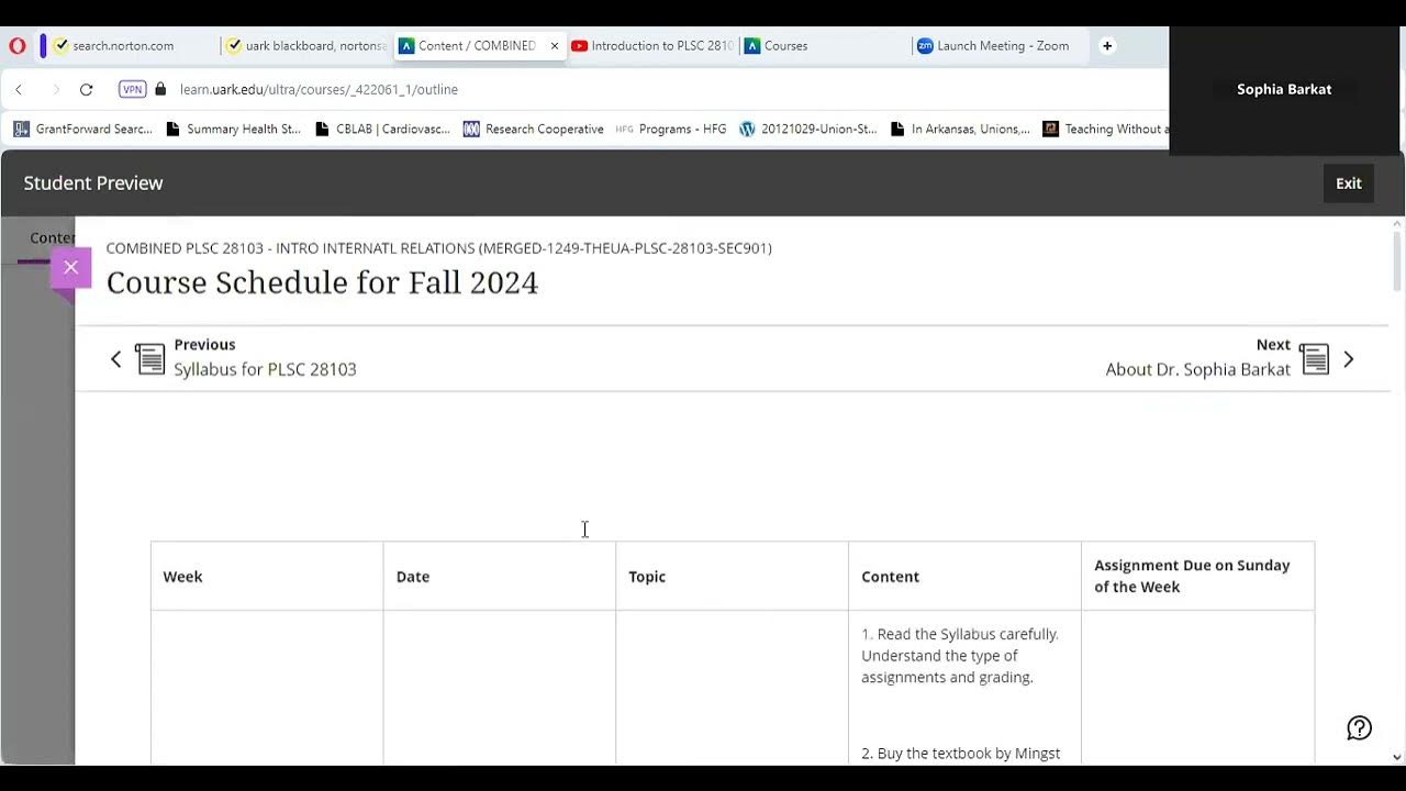 International Relations: Week One-- Feedback - YouTube