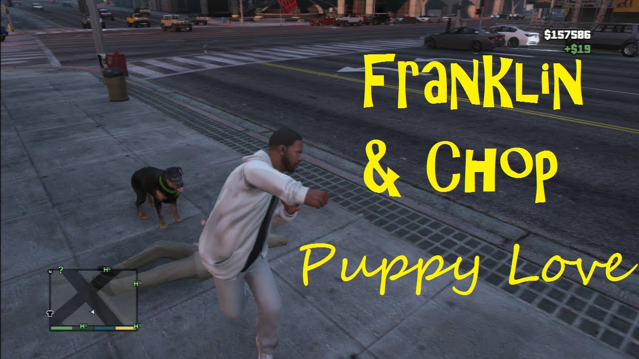 Franklin & Chop - "Puppy Love" (GTA V) - YouTube