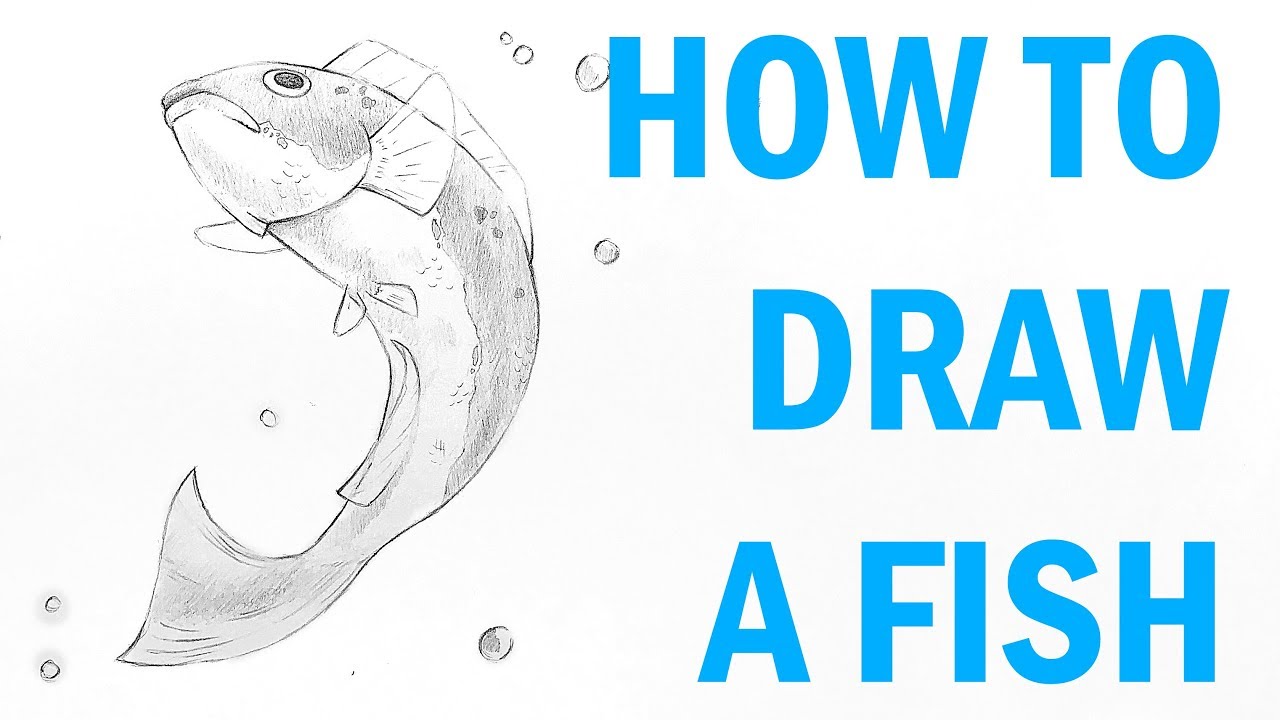 How To Draw A Fish - YouTube