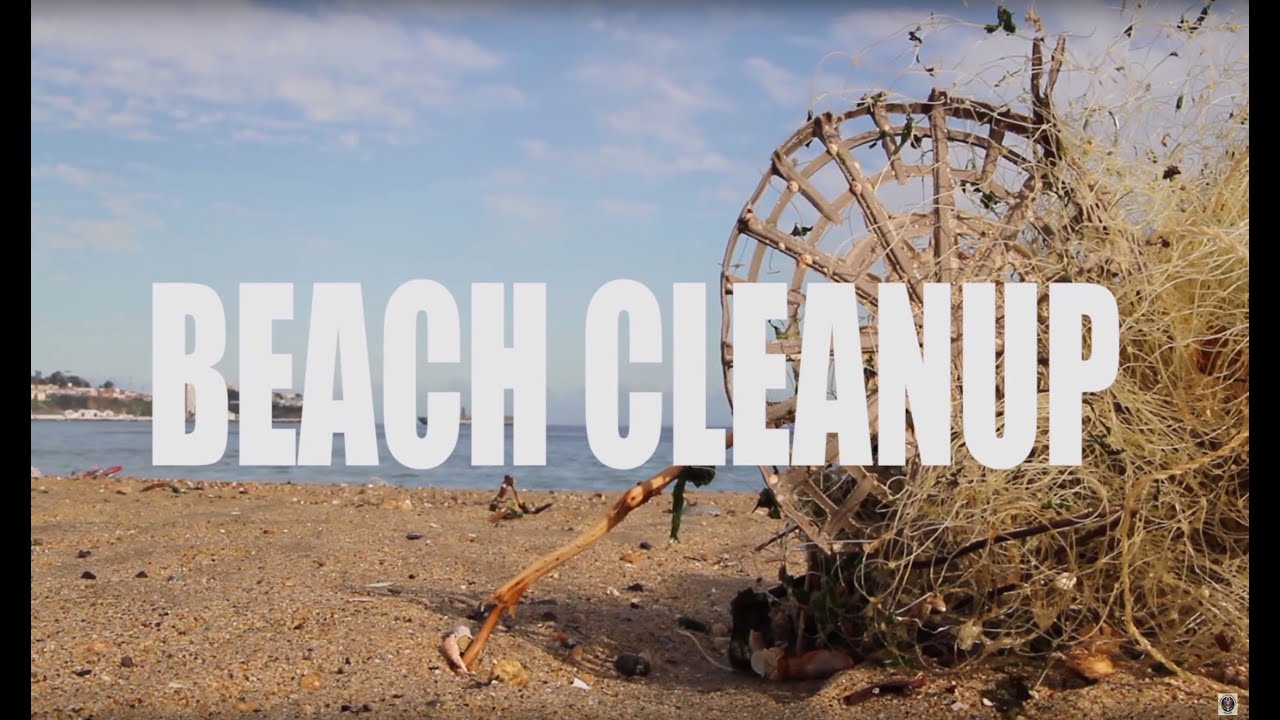 Beach Cleanup, Our Ocean - YouTube