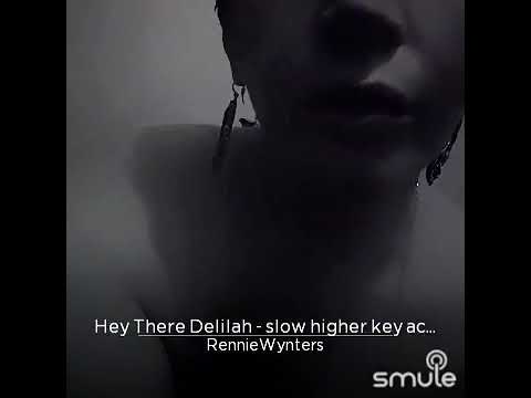 Hey There Delilah Cover