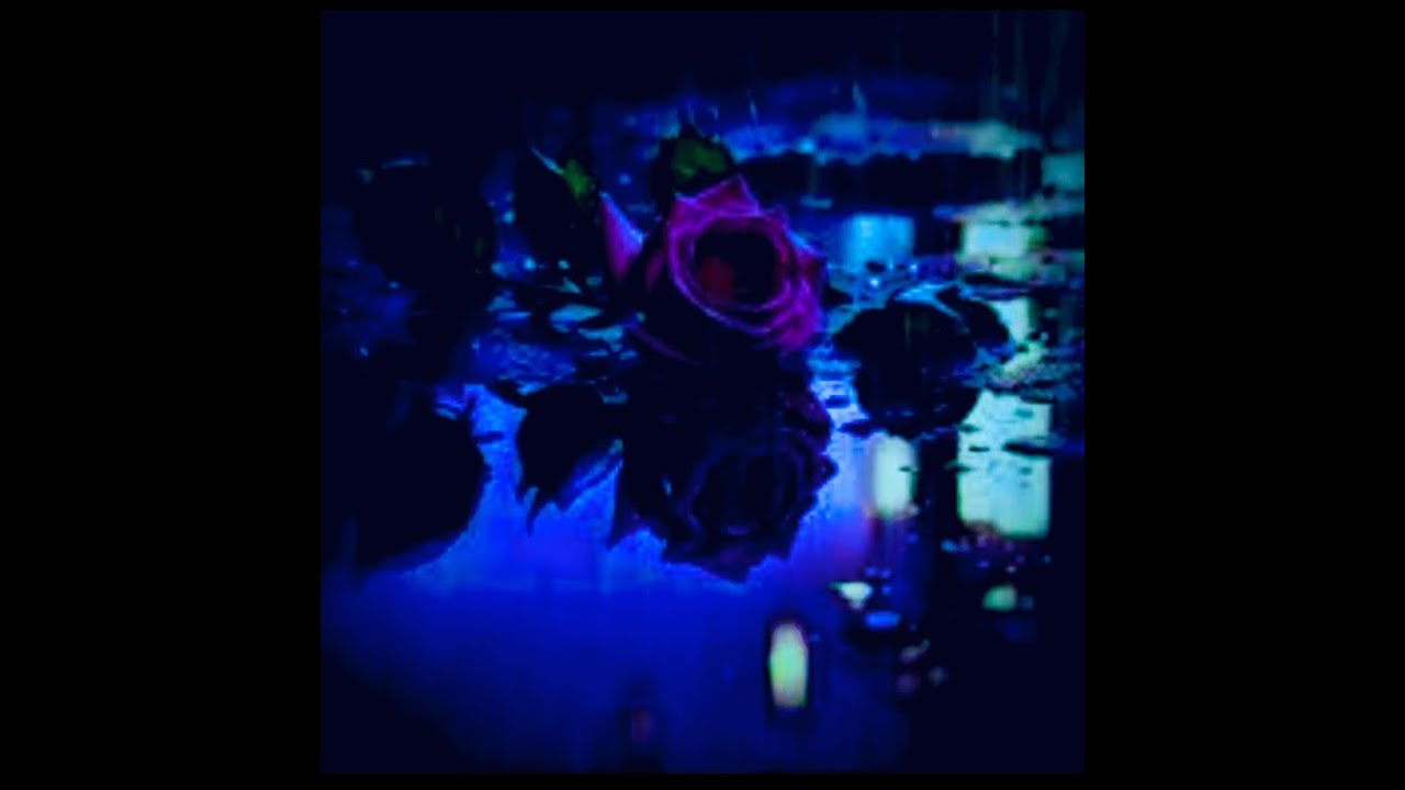 The Last Christmas Of My Wonderful Lovely Internal Life: Stage 3 Phases ...