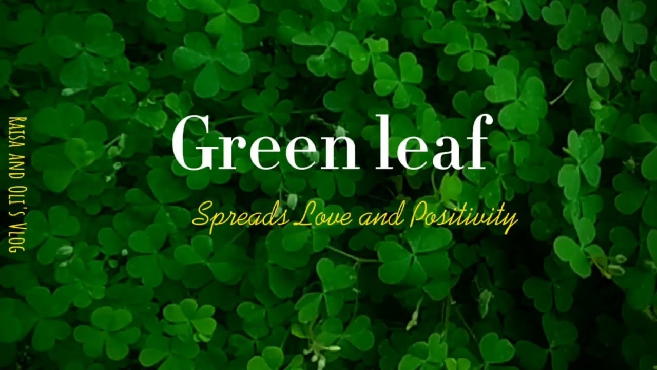 Green leaf spreads Love and Positivity 💚 - YouTube