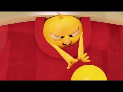 So Close, Chicky! | Where's Chicky? | Cartoon Collection in English for Kids | New episodes