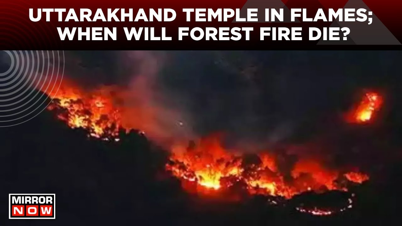 Uttarakhand Forest Fire | Raging Wildfires Sweep Through Almora Temple ...