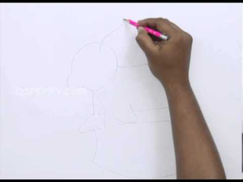 How to Draw a Rabbit in Hat - YouTube