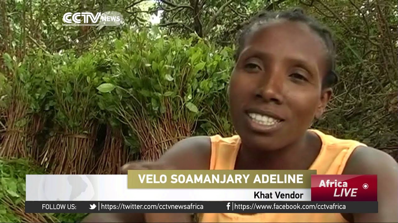 Madagascar khat addict numbers soar, food production dips - YouTube