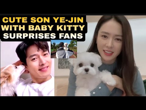 LATEST UPDATE: CUTE SON YE-JIN WITH BABY KITTY SURPRISES FANS+ADORABLE ...