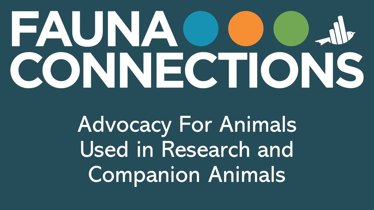 Fauna Connections: Advocacy For Animals Used in Research and Companion ...