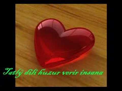 BİRTANEME...