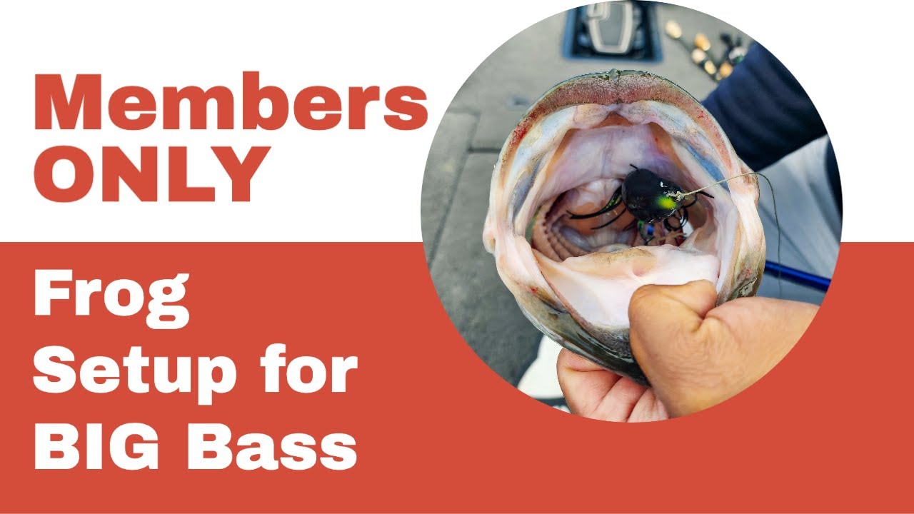 Big Bass Frog Fishing Setup and Tips Members ONLY - YouTube