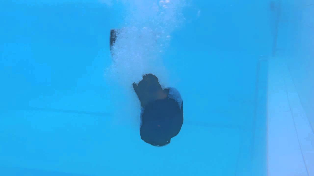 Tutorial : Entries "Front Roll" - YouTube