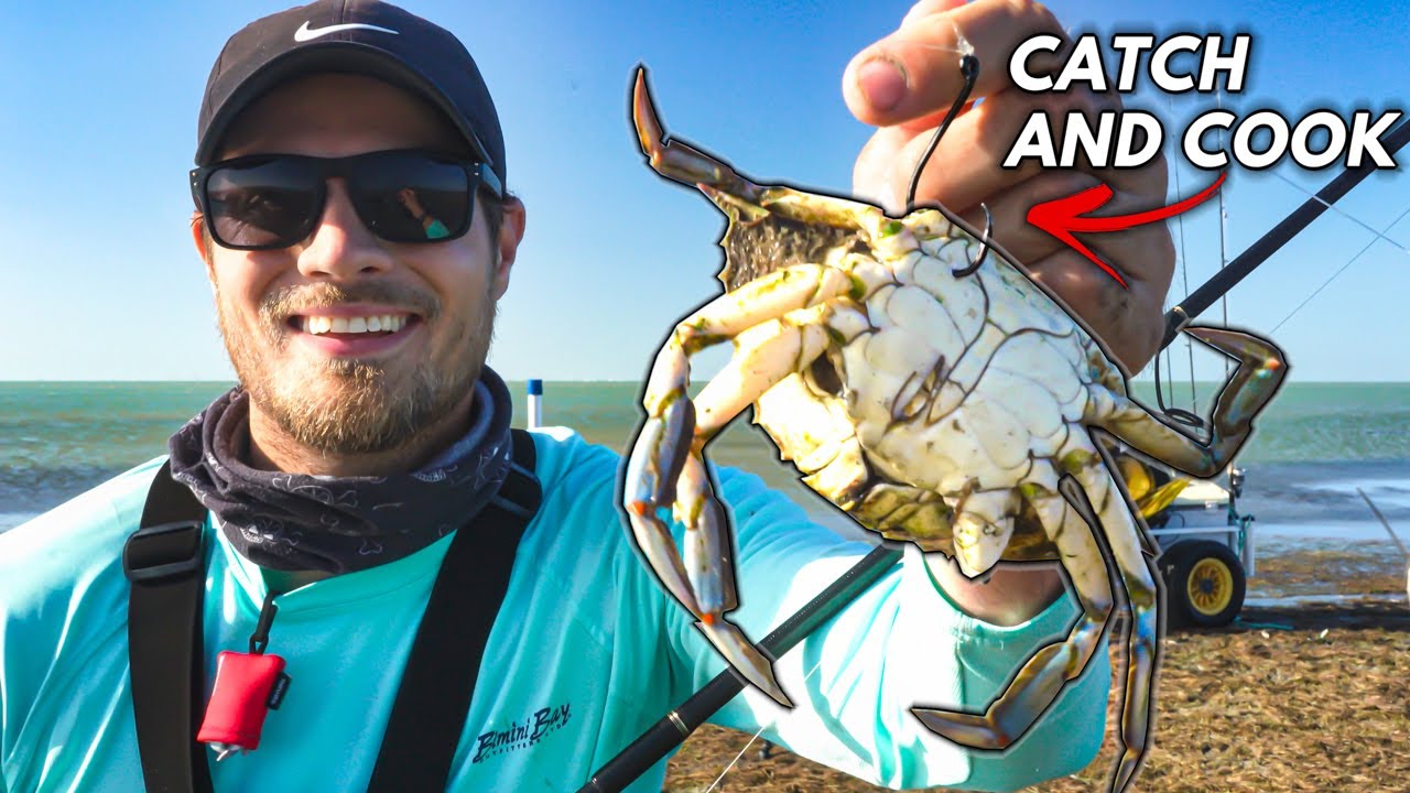 CATCH n COOK adventure to inshore beach fishing spot! - YouTube