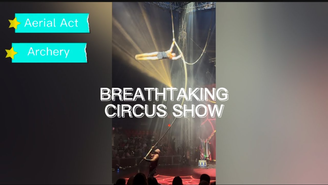 Breathtaking Aerial Shows At The Circus. California ,USA - YouTube