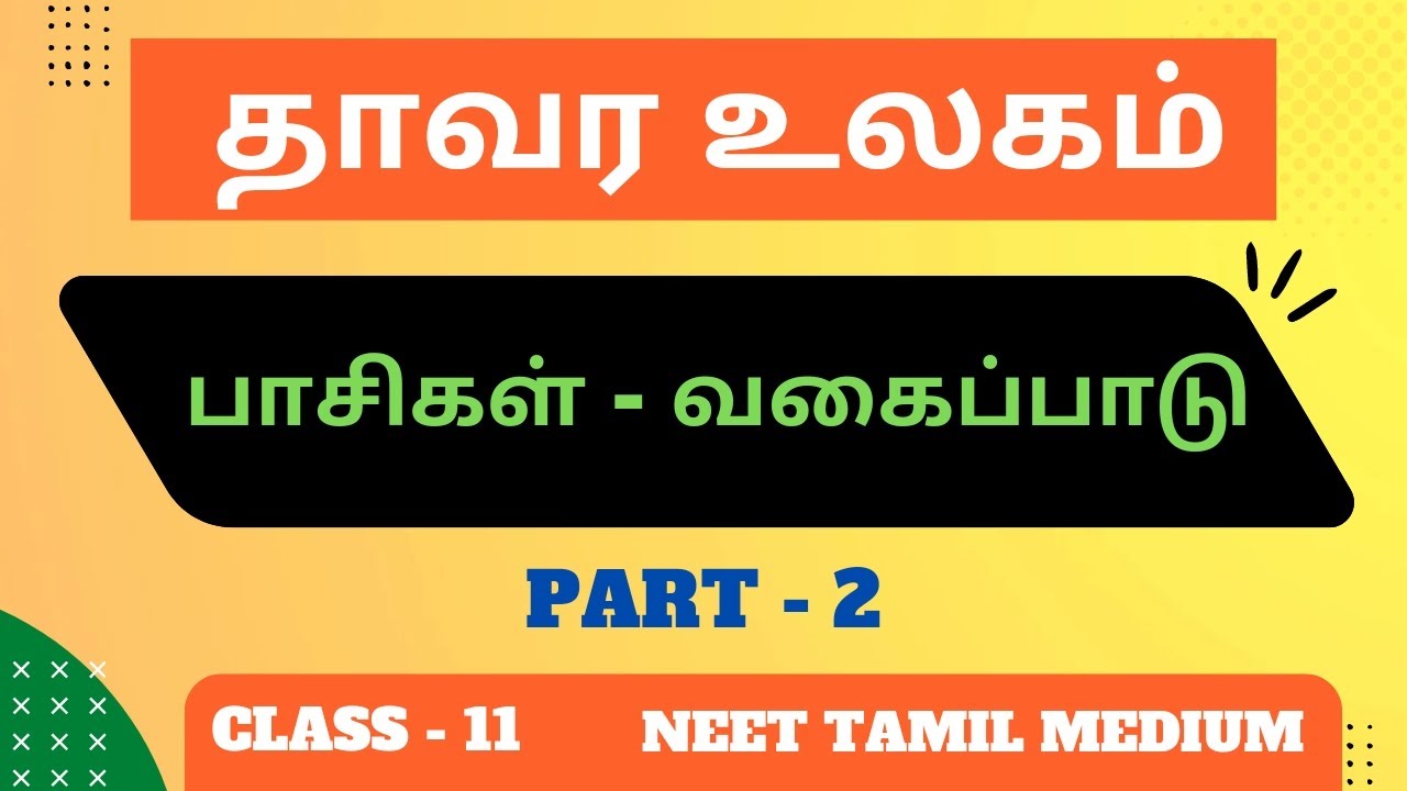 Plant kingdom | Algae - Classification | பாசிகள் - வகைப்பாடு | 11th ...