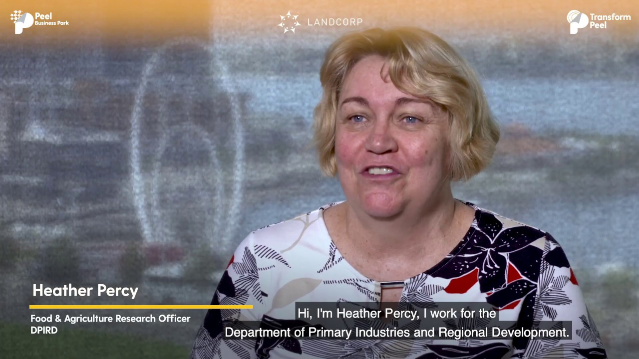 DevelopmentWA | Interview with Heather Percy from DPIRD on Peel ...