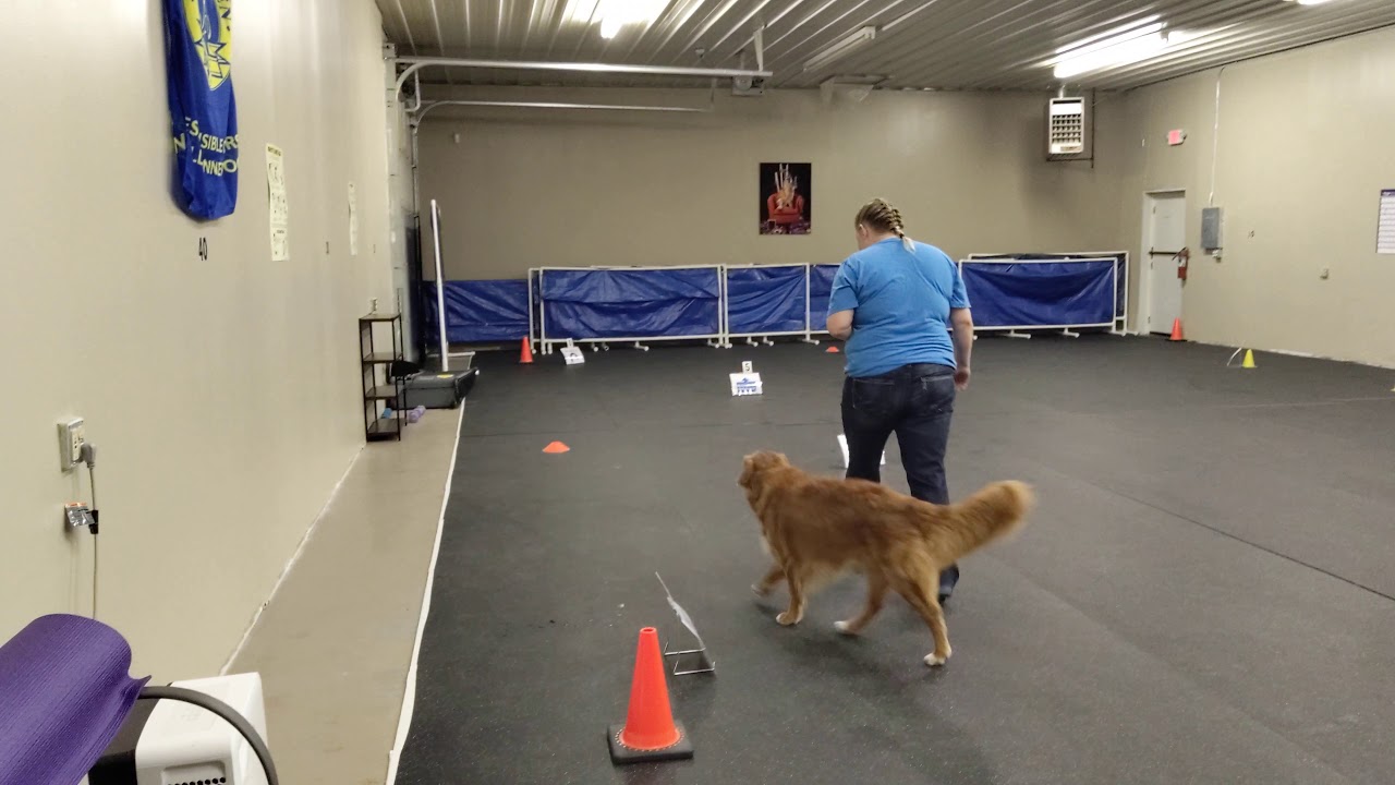 Jaeger Level 2 module 2 of 4 - YouTube