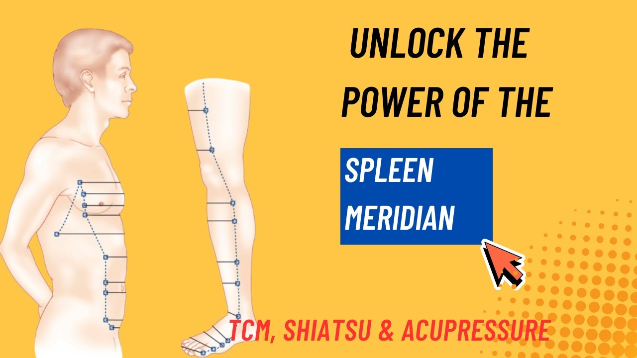 🔴 Spleen Meridian Points & Locations | Essential Guide for TCM, Shiatsu ...