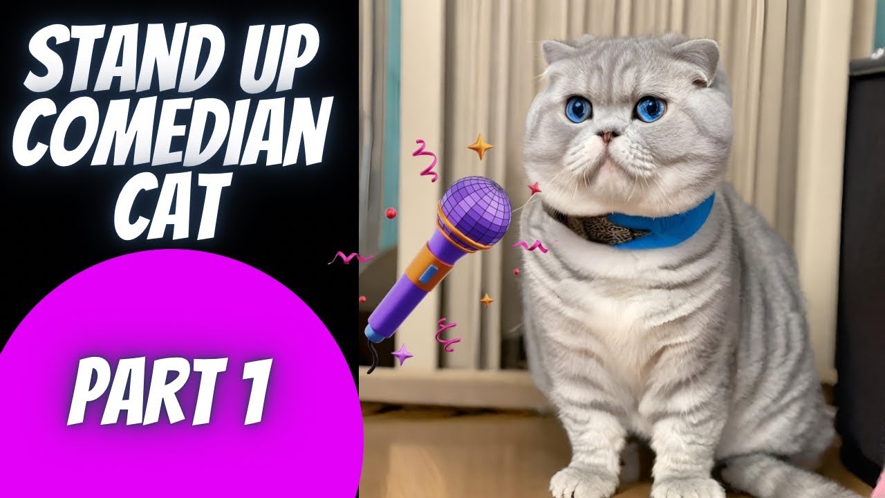 stand up comedian Cats, 3 minutes nonstop laughing 🤣with this #cat ...