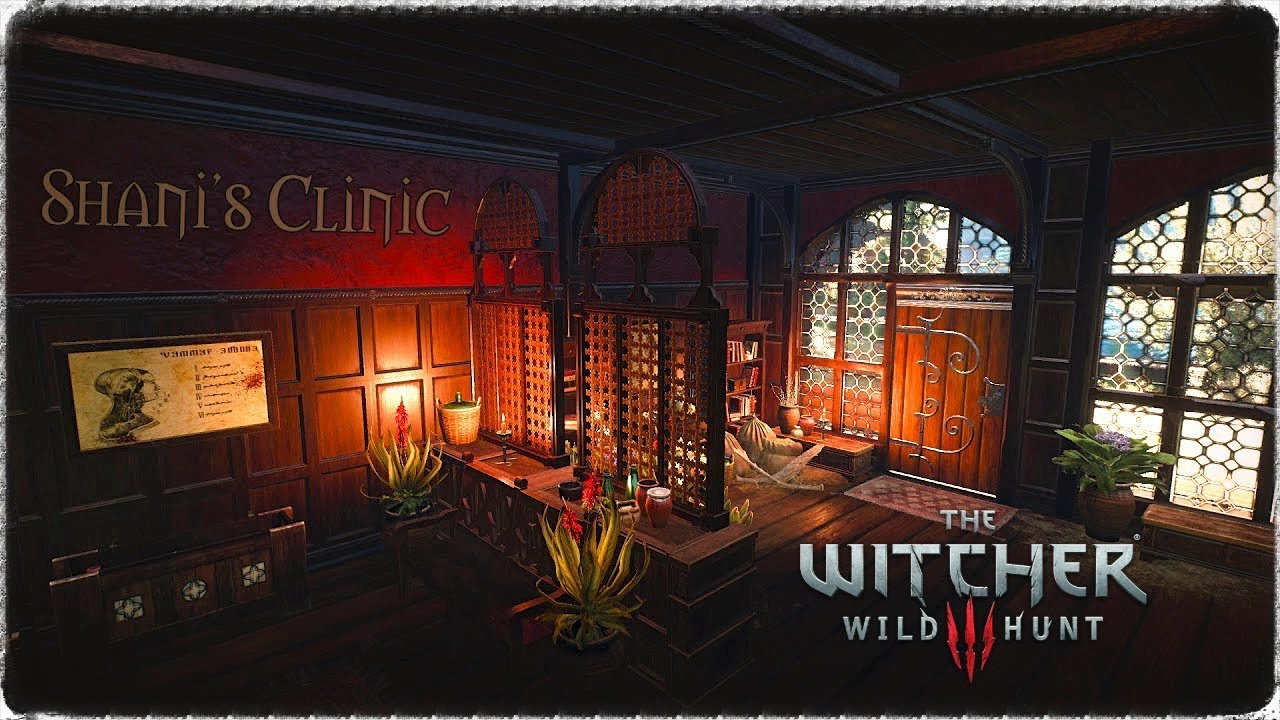 Witcher 3: Shani's Clinic | 1 Hour version | Oxenfurt Theme | || HD ...