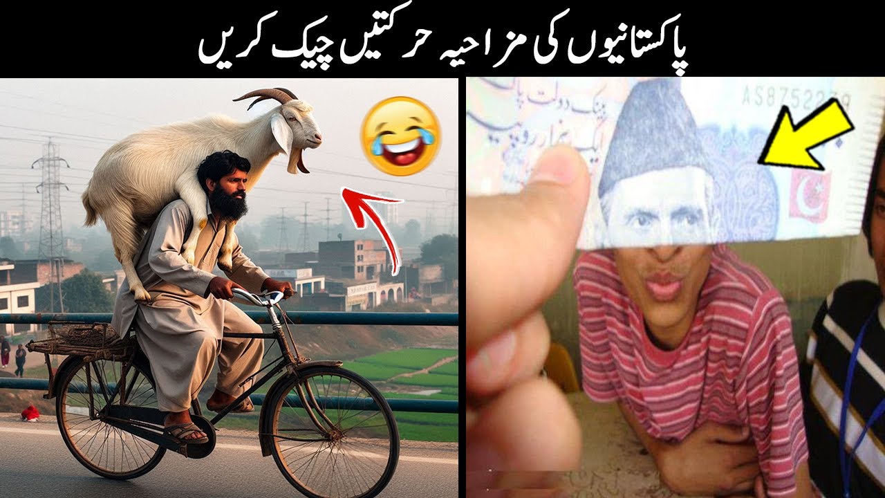 FUNNIEST Pakistani Moments That Will Make You Laugh! - YouTube