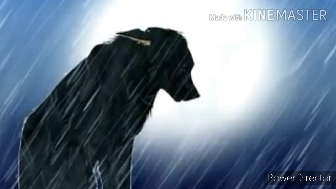 Anime wolf - Float - YouTube