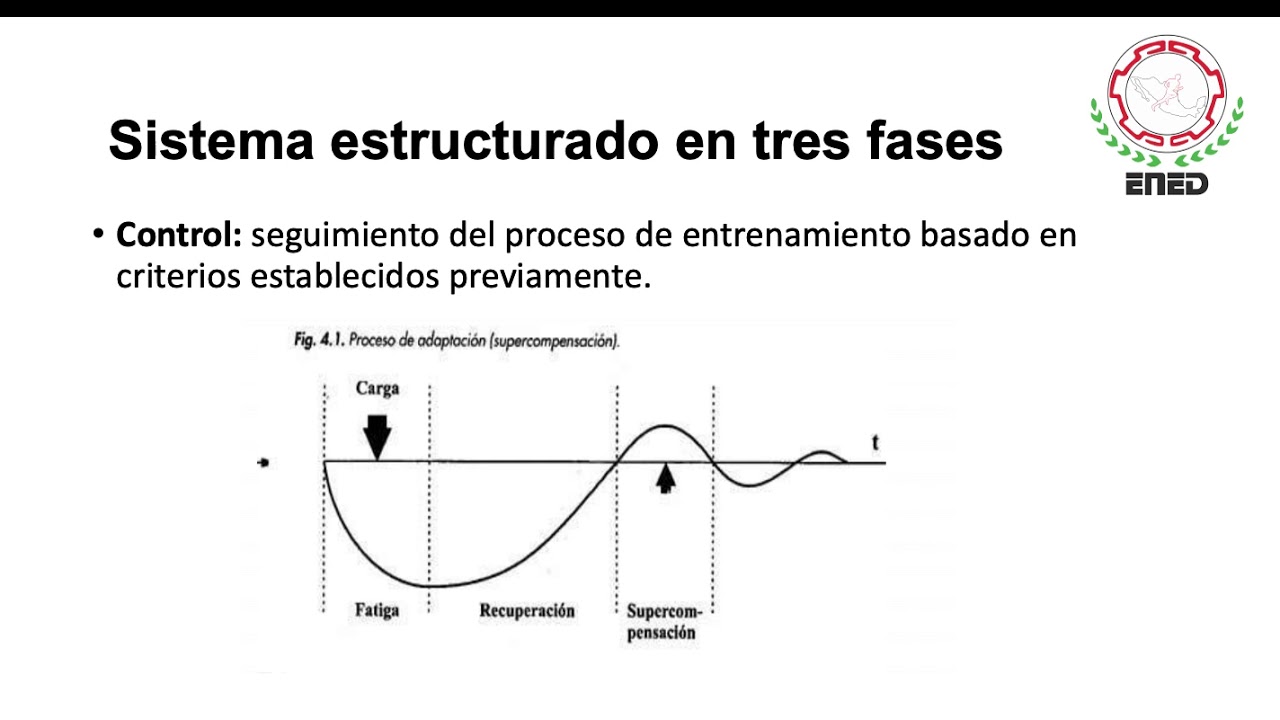 Entrenamiento por bloques de Verkhoshansky JESUS REYES - YouTube