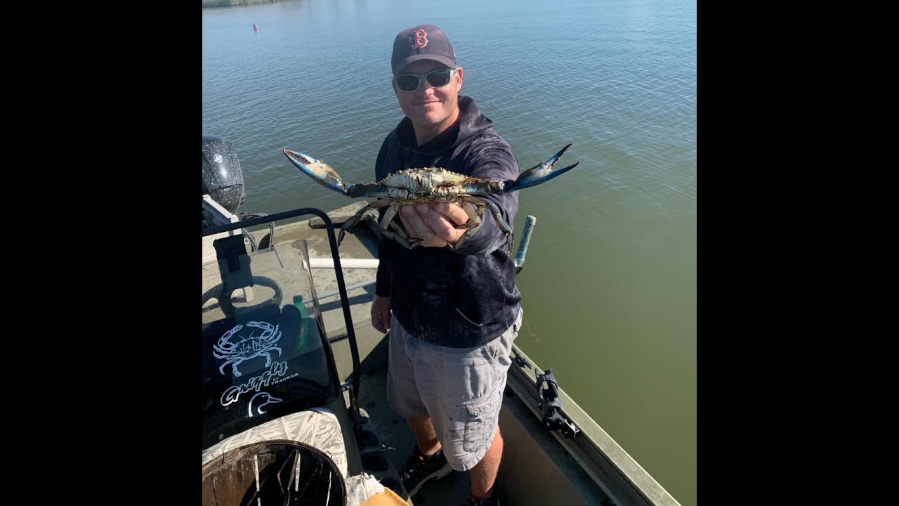Chesapeake Bay Crabbing running a trotline catching Maryland Crabs ...