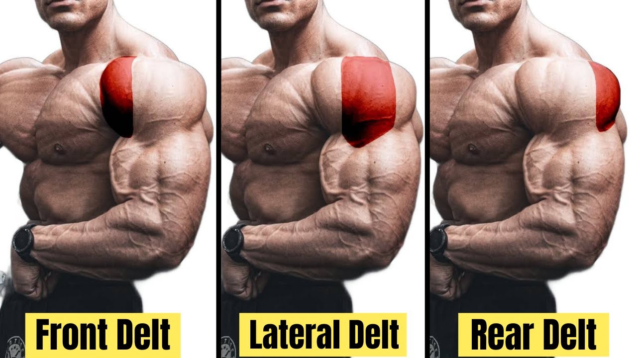 Top 9 Exercises For Massive Rounded Shoulders | SHOULDER GROWTH - YouTube