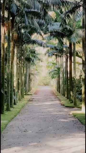 Ribeira Grande to Furnas with teravia - YouTube