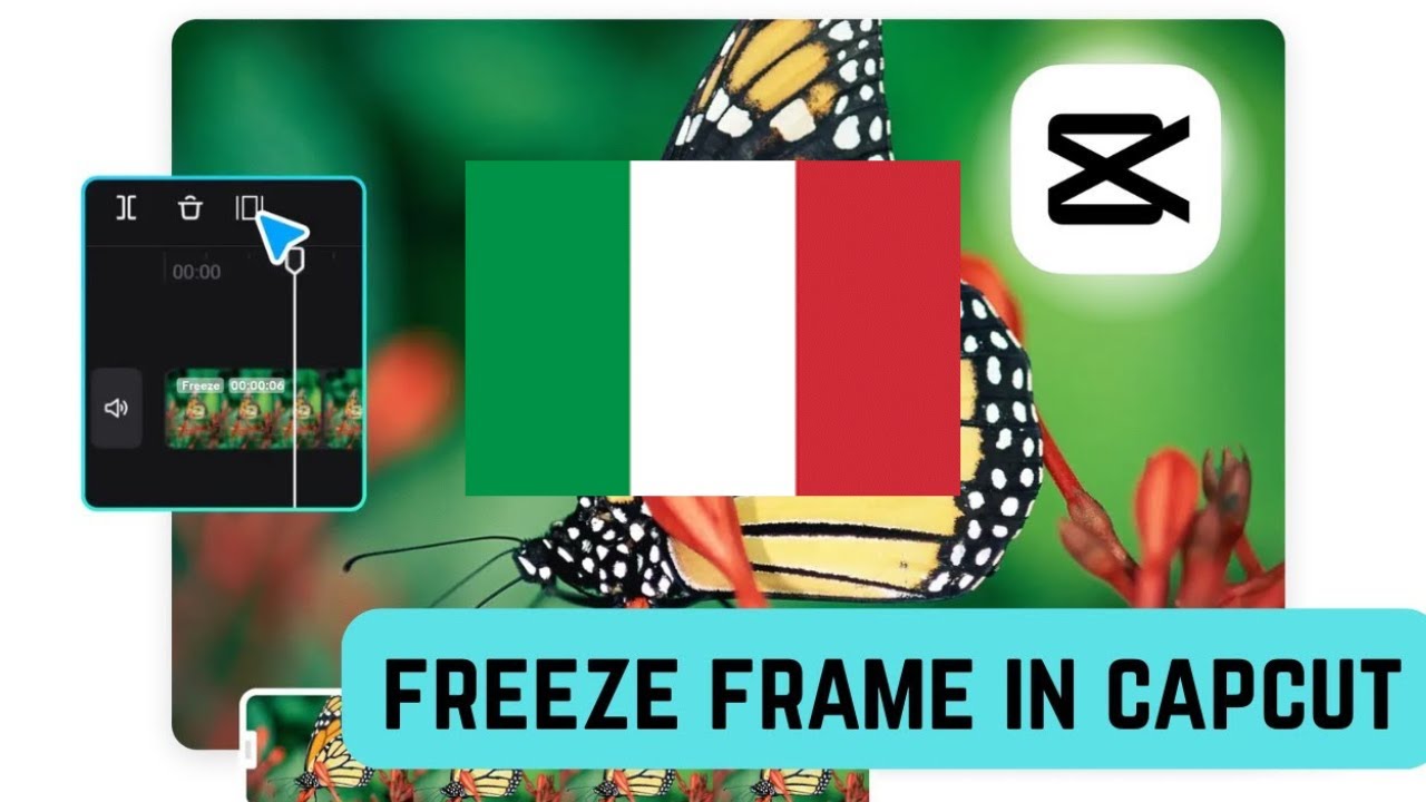 Come realizzare un fermo immagine in CapCut | Guida passo passo per ...