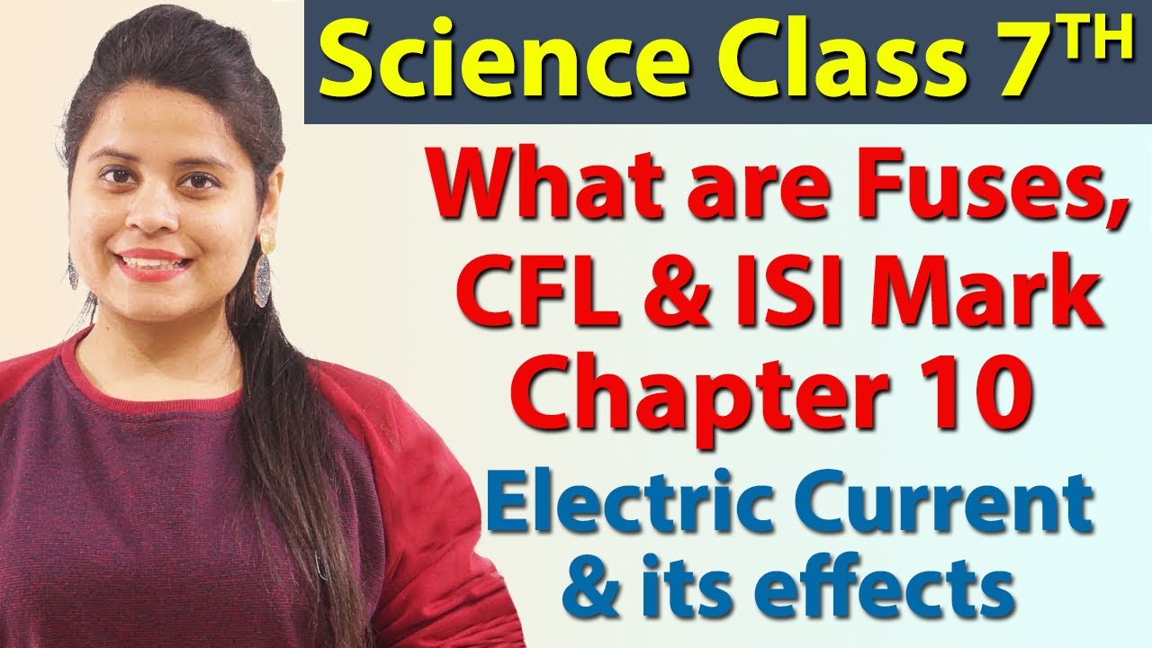 What Are Fuses CFL ISI Mark Chapter 10 Electric Current Its what-are-fuses-cfl-isi-mark-chapter-10-electric-current-its