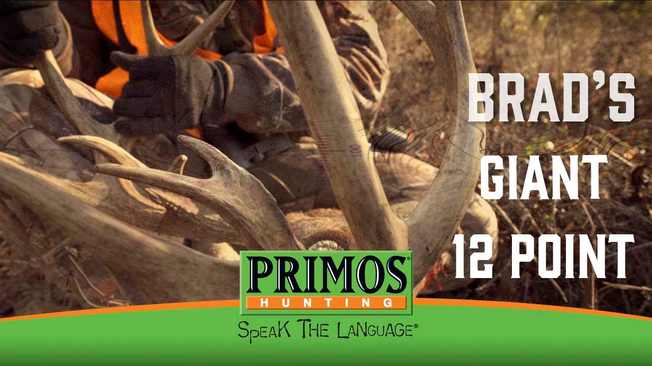 Brad Farris calls in a huge 12 point buck at Cottonmouth - YouTube