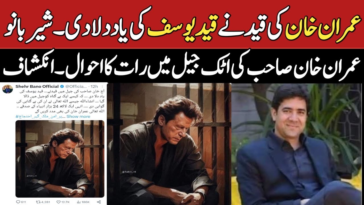 Shehr Bano Tweet Controversy | Imran Khan Arrests Latest News | PTI ...
