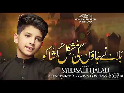 dikha do Tum sakina عko najaf ka Rasta baba ع