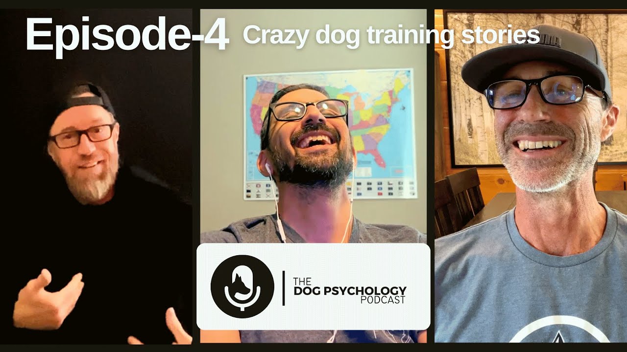 The Dog Psychology Podcast Episode #004 Crazy dog training stories ...