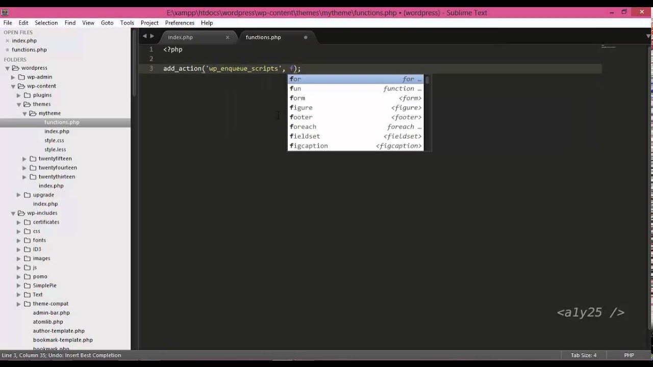 wordpress - wp_deregister_script, wp_scripts - remove conflicting jquery plugin - YouTube
