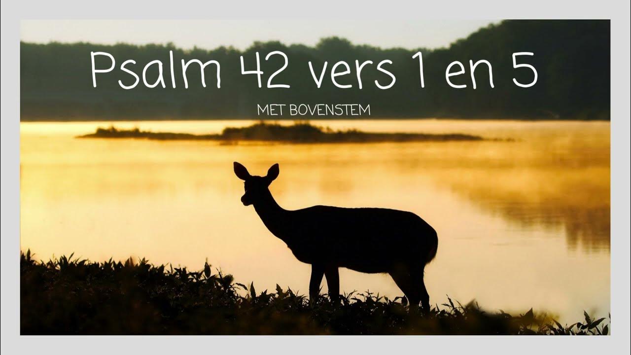 psalm-42-vers-1-en-5-t-hijgend-hert-der-jacht-ontkomen-youtube