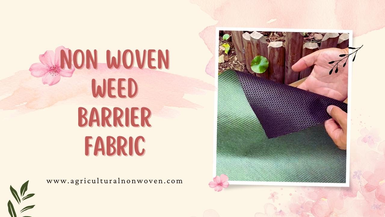 OEM Non Woven Anti Weed Mat, Weed Barrier Landscaping Supplies, Custom ...