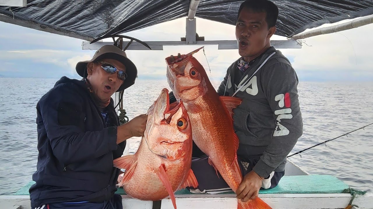 BERBURU DOGTOOTH & RUBY SNAPPER (Part 2) - YouTube