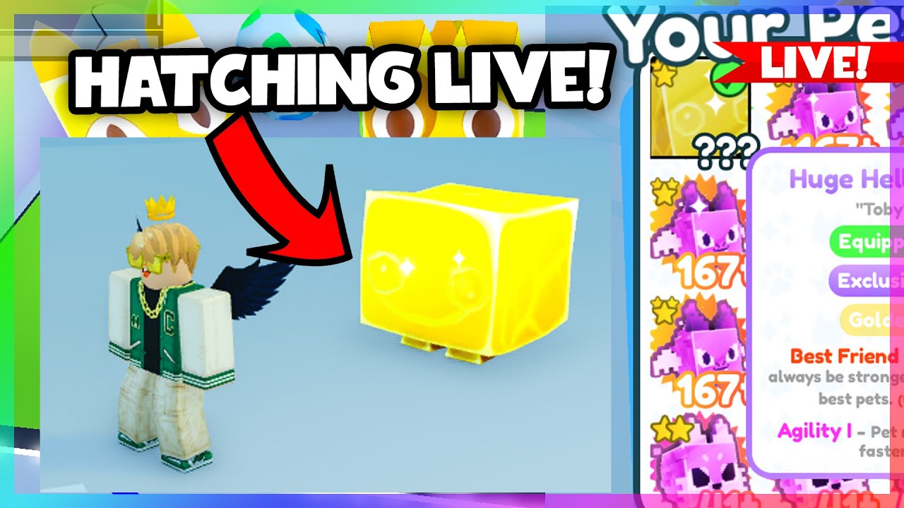 *LIVE* Hatching HUGE HELL ROCK PETS in Pet Sim X! (Roblox live) - YouTube